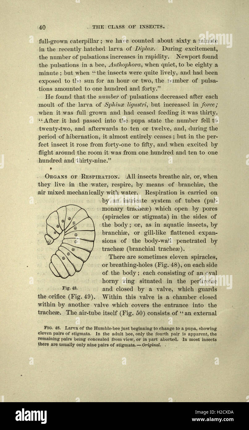 This guide provides a comprehensive overview of insect studies ...