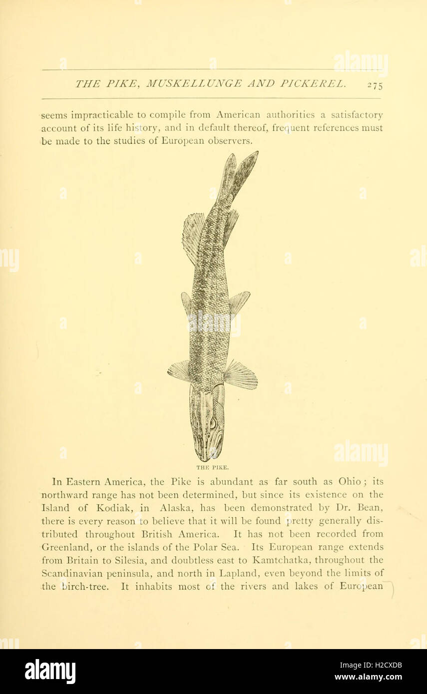 'American Fishes' offers a comprehensive look at various fish species ...