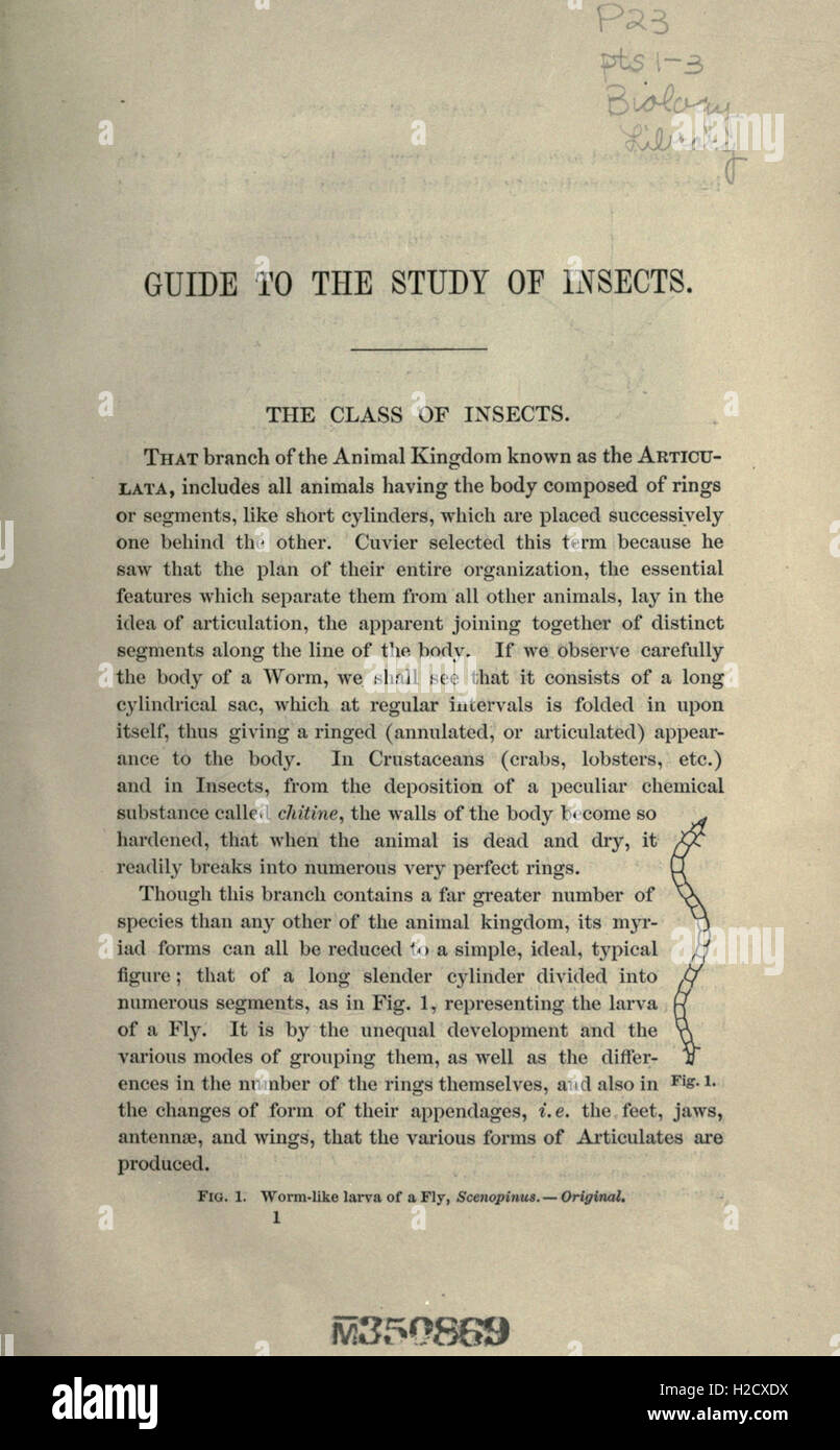 The Guide to the Study of Insects is an educational resource focused on ...