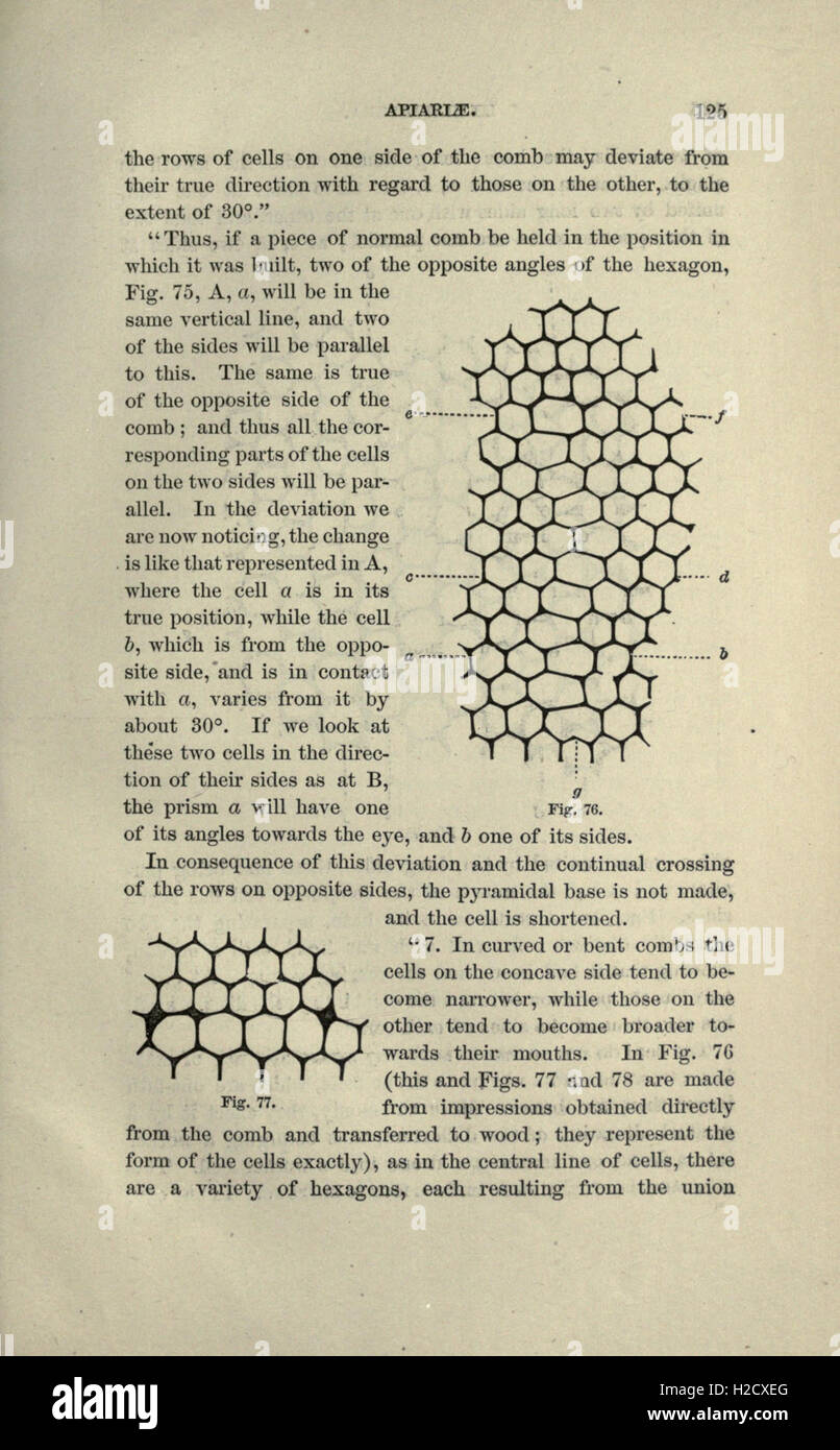The 'Guide to the Study of Insects' offers an introductory overview of ...