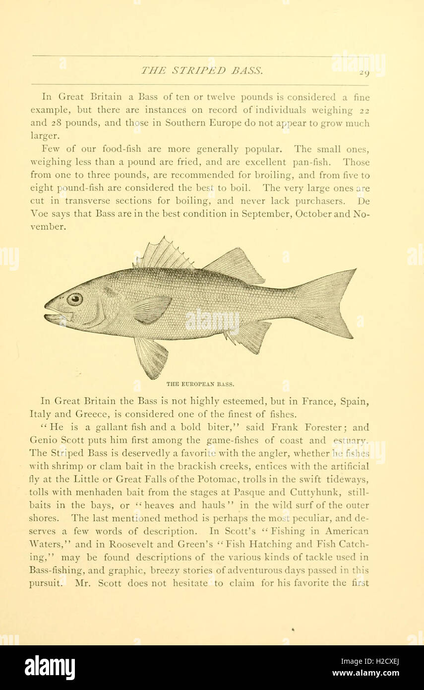 This work focuses on American fish species, with a detailed account and ...