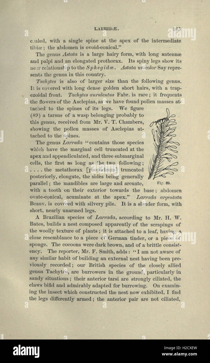 This guide provides an overview of insect biology, including ...