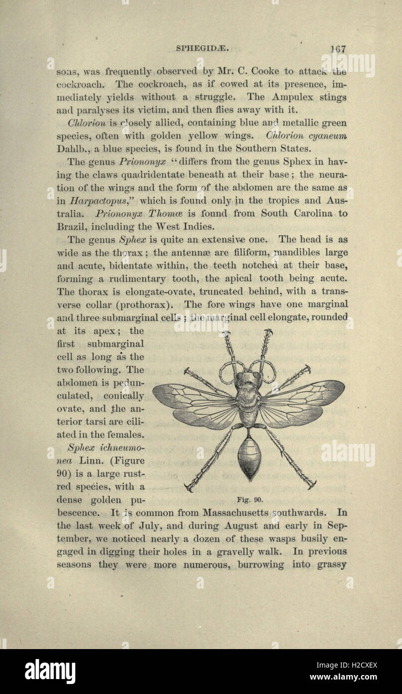 This guide provides an introduction to insect biology, including their ...