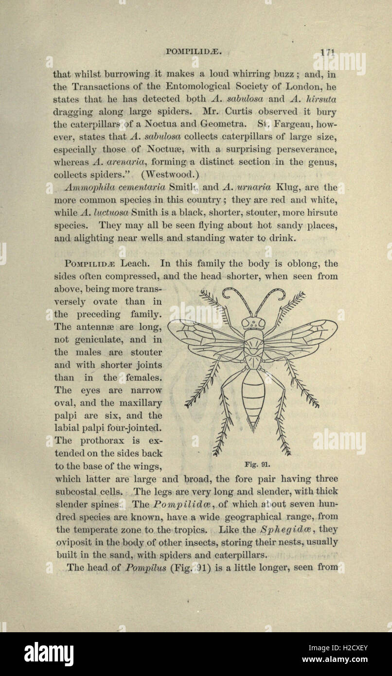 This guide provides comprehensive instructions for studying insects ...