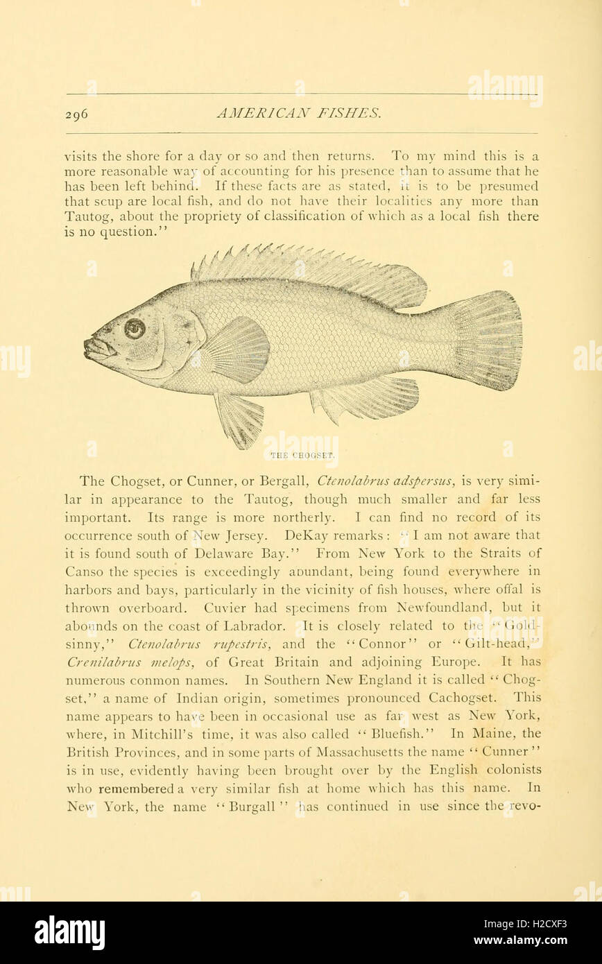 Page 296 of 'American Fishes', featuring an illustration and ...