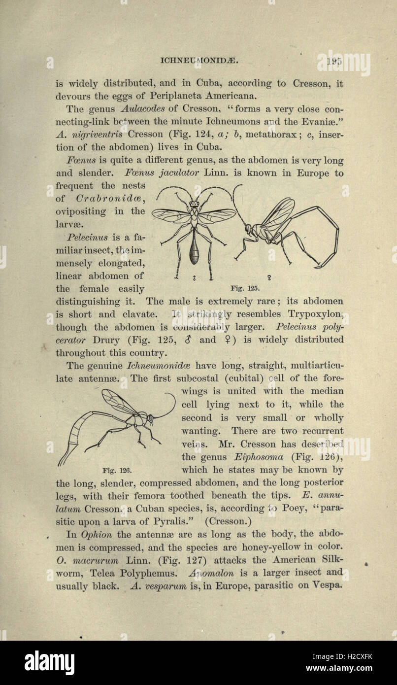 This guide offers a detailed approach to studying insects, focusing on ...