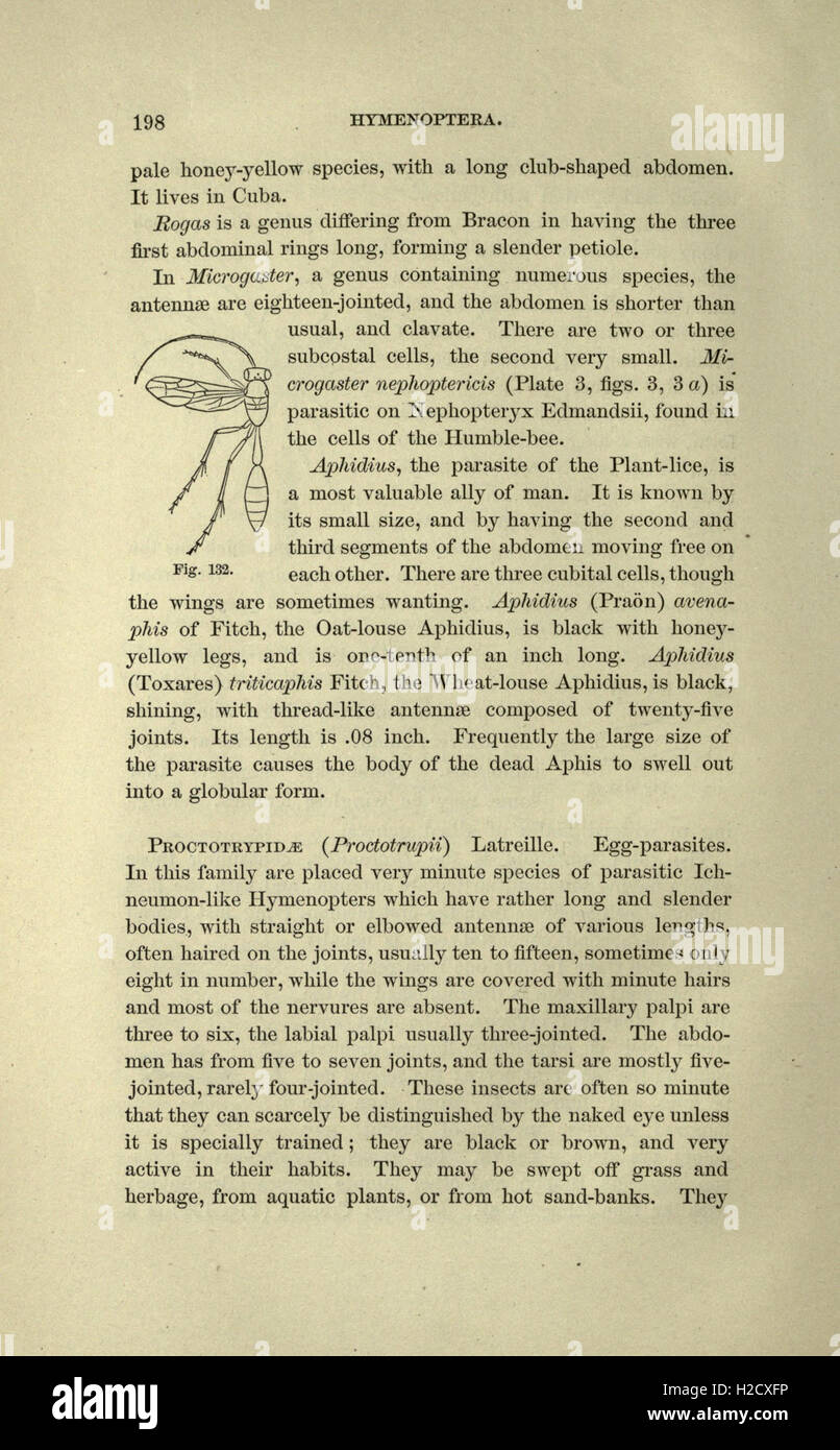 This guide provides an overview of insect studies, covering ...