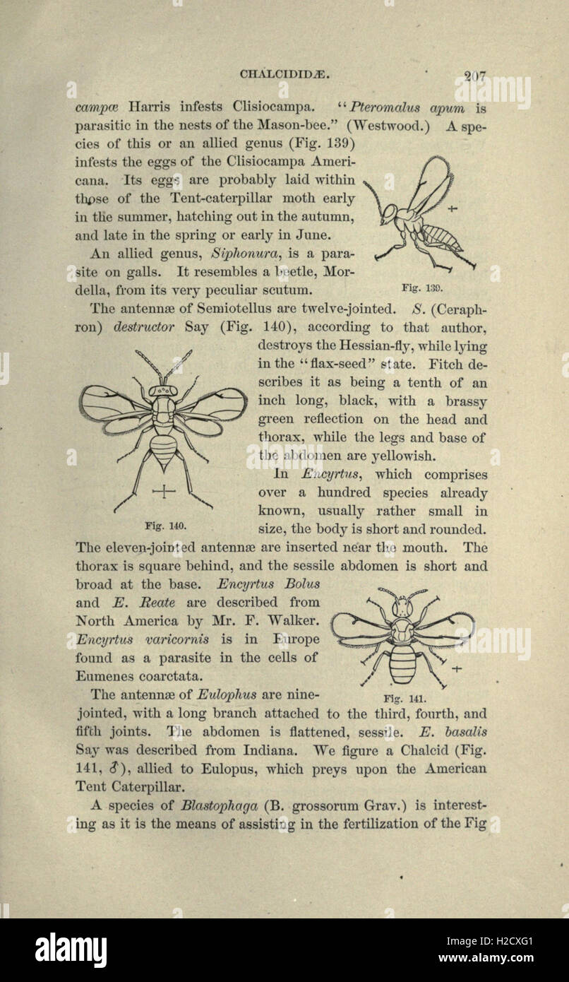 This guide provides an introduction to the study of insects, focusing ...