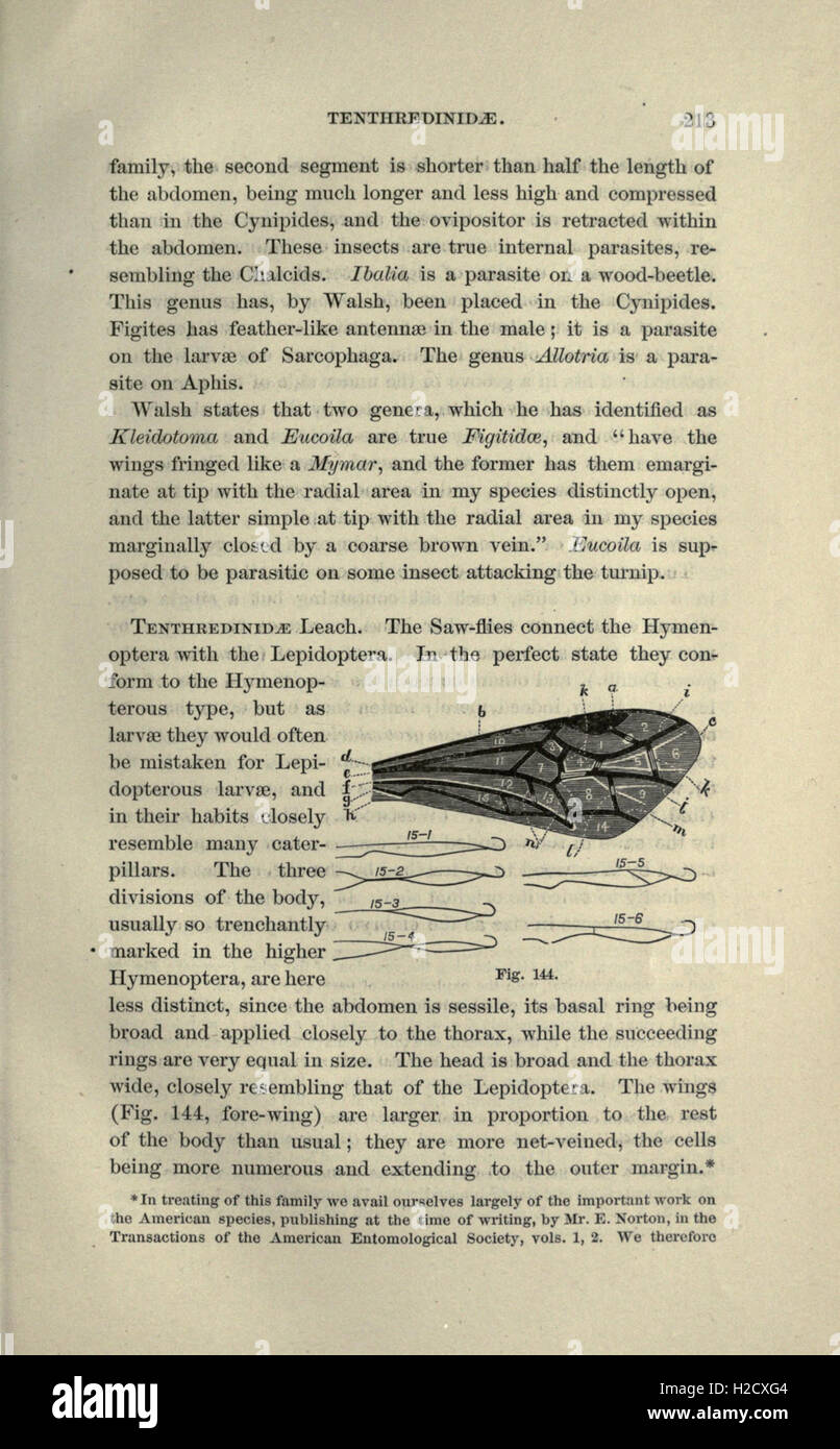 Guide to the study of insects Stock Photo - Alamy