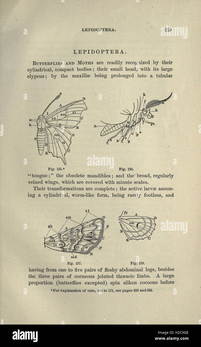 This guide offers a thorough introduction to entomology, providing ...