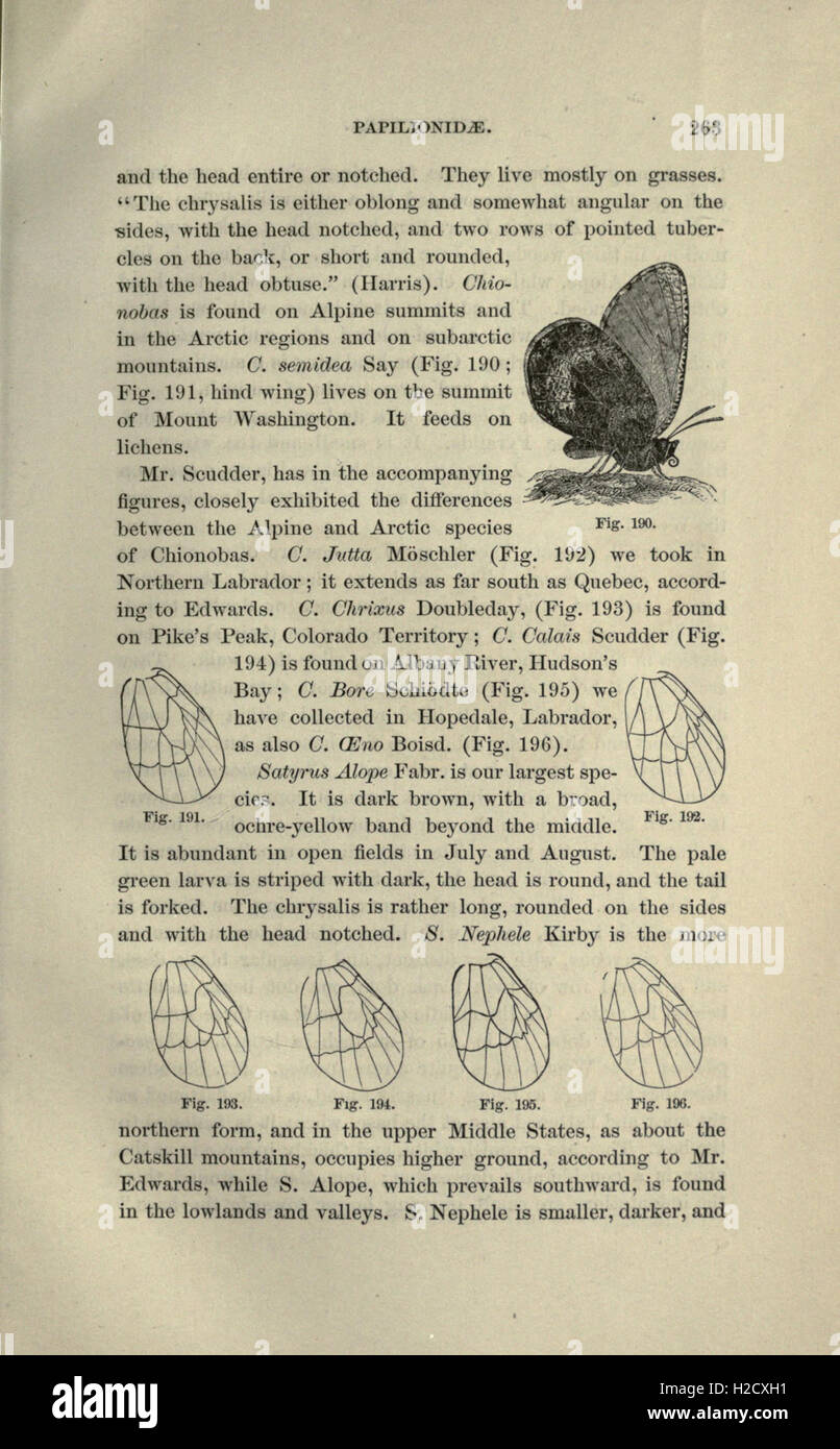 This guide provides an introduction to the study of insects, covering ...