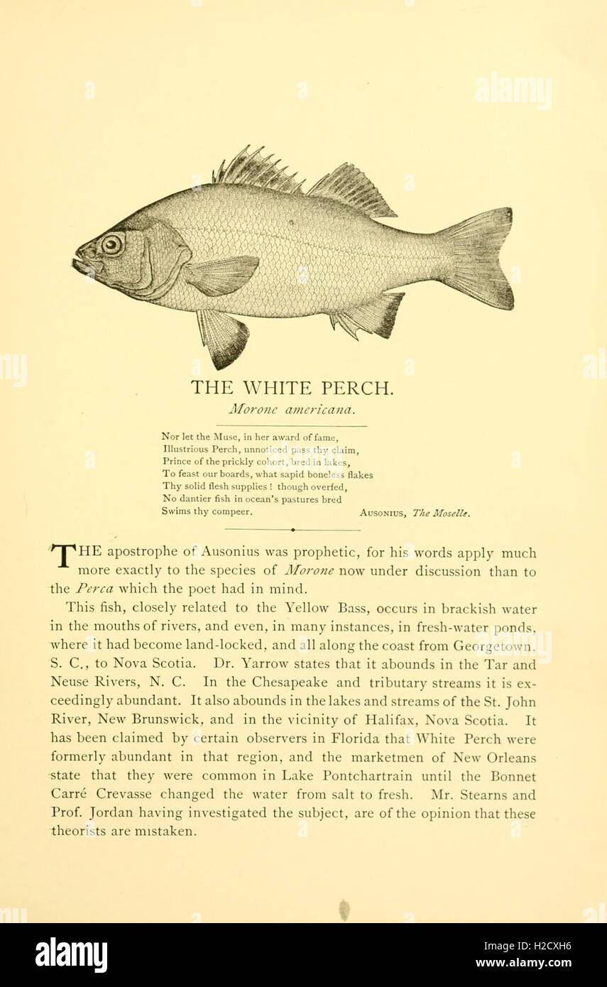 This work provides detailed information about various fish species in America, with a focus on ...