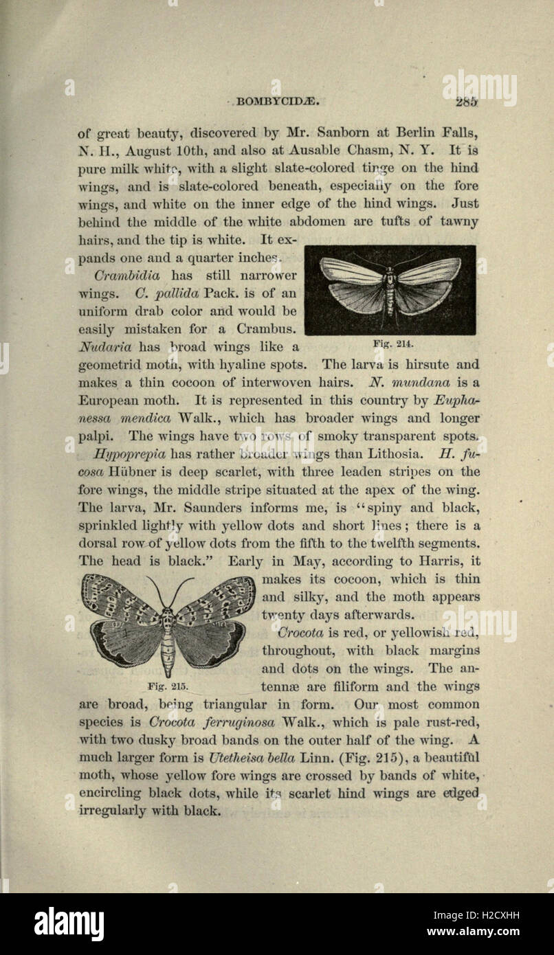 This guide offers comprehensive information on the study of insects ...