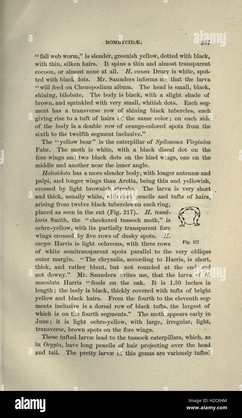 This guide provides a comprehensive overview of insect study, focusing ...