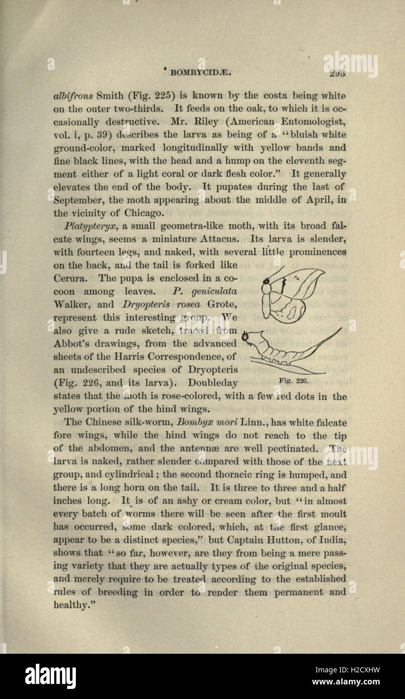 An educational resource detailing the study of insects, their behavior ...