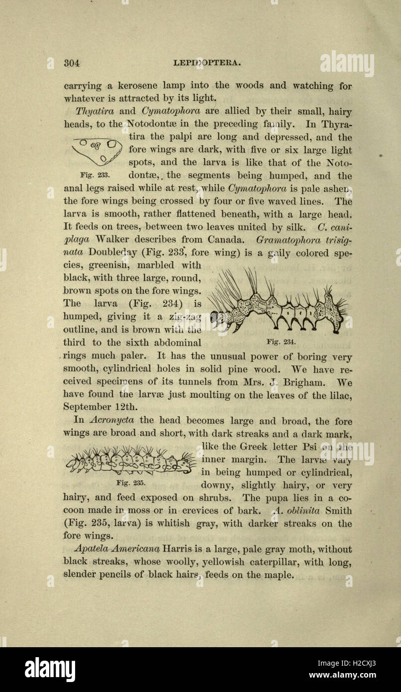 An educational resource providing information on insect classification ...