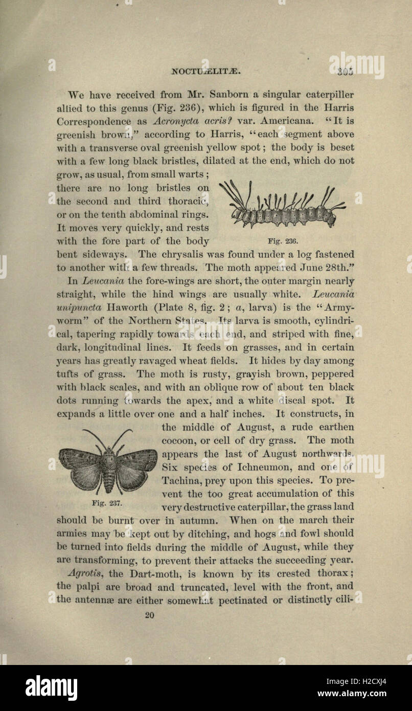 This guide provides an overview of insect classification, behavior ...