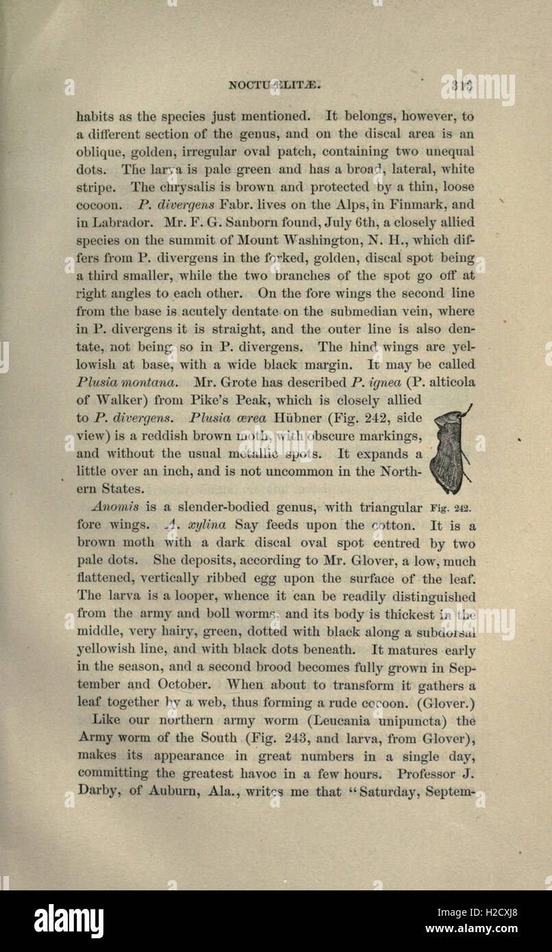 This guide offers a comprehensive introduction to the study of insects ...