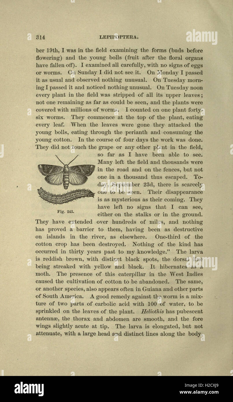 A comprehensive guide to insect study, focusing on classification ...