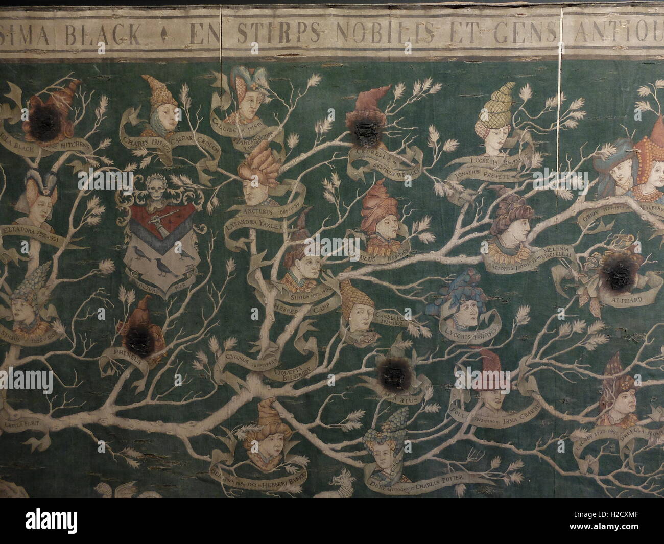 Harry Potter Black Family Tree Sirius Black Family Tree Wallpaper