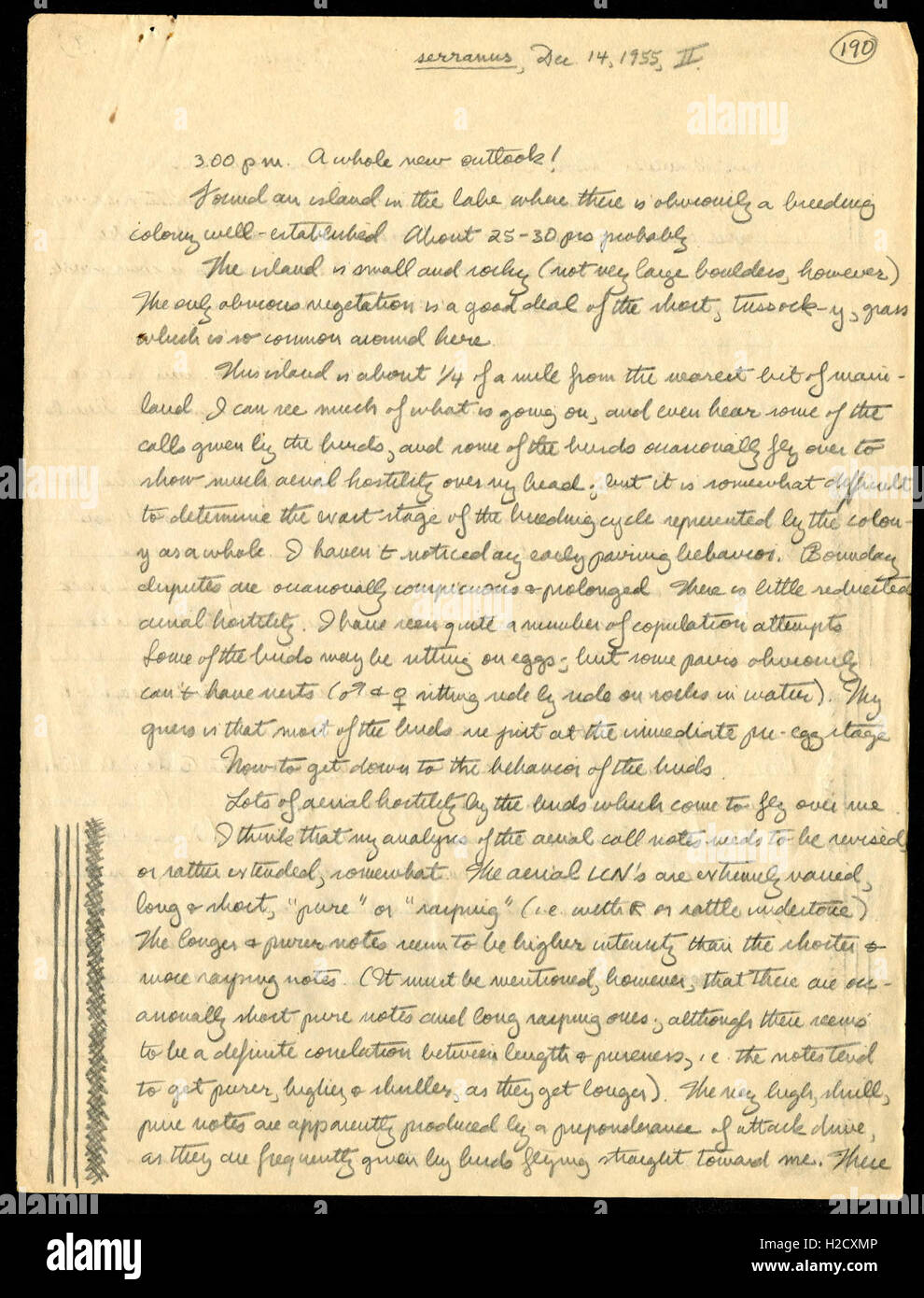 Gull Notes provides an account of various gull species, documenting ...