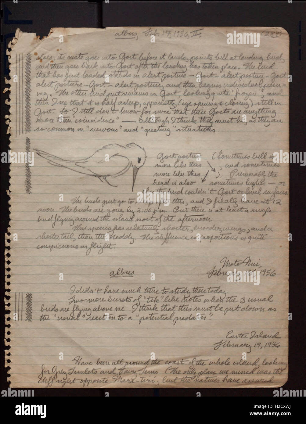 Notes 284 hi-res stock photography and images - Alamy