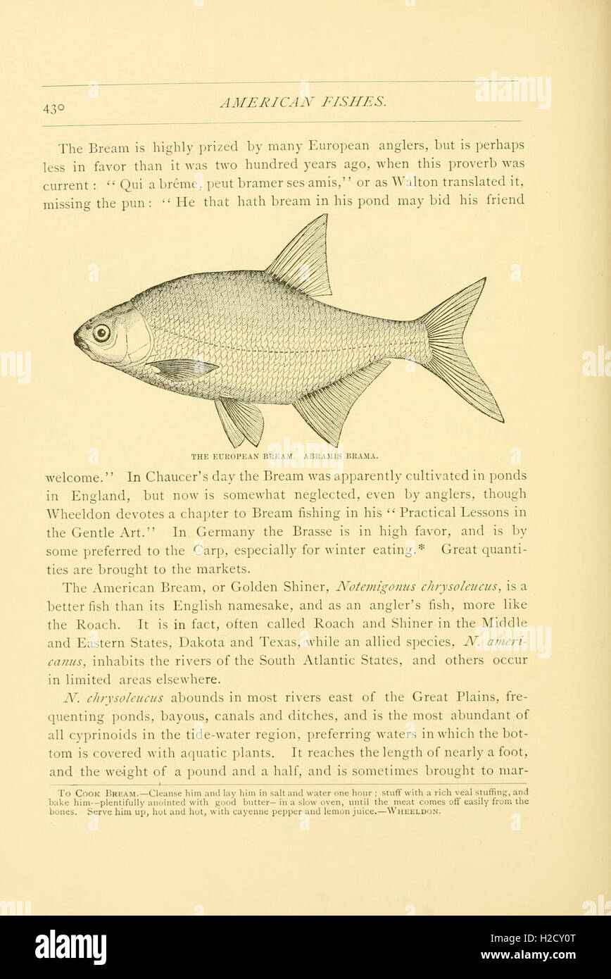 A detailed look at American fish species, with a focus on the European ...