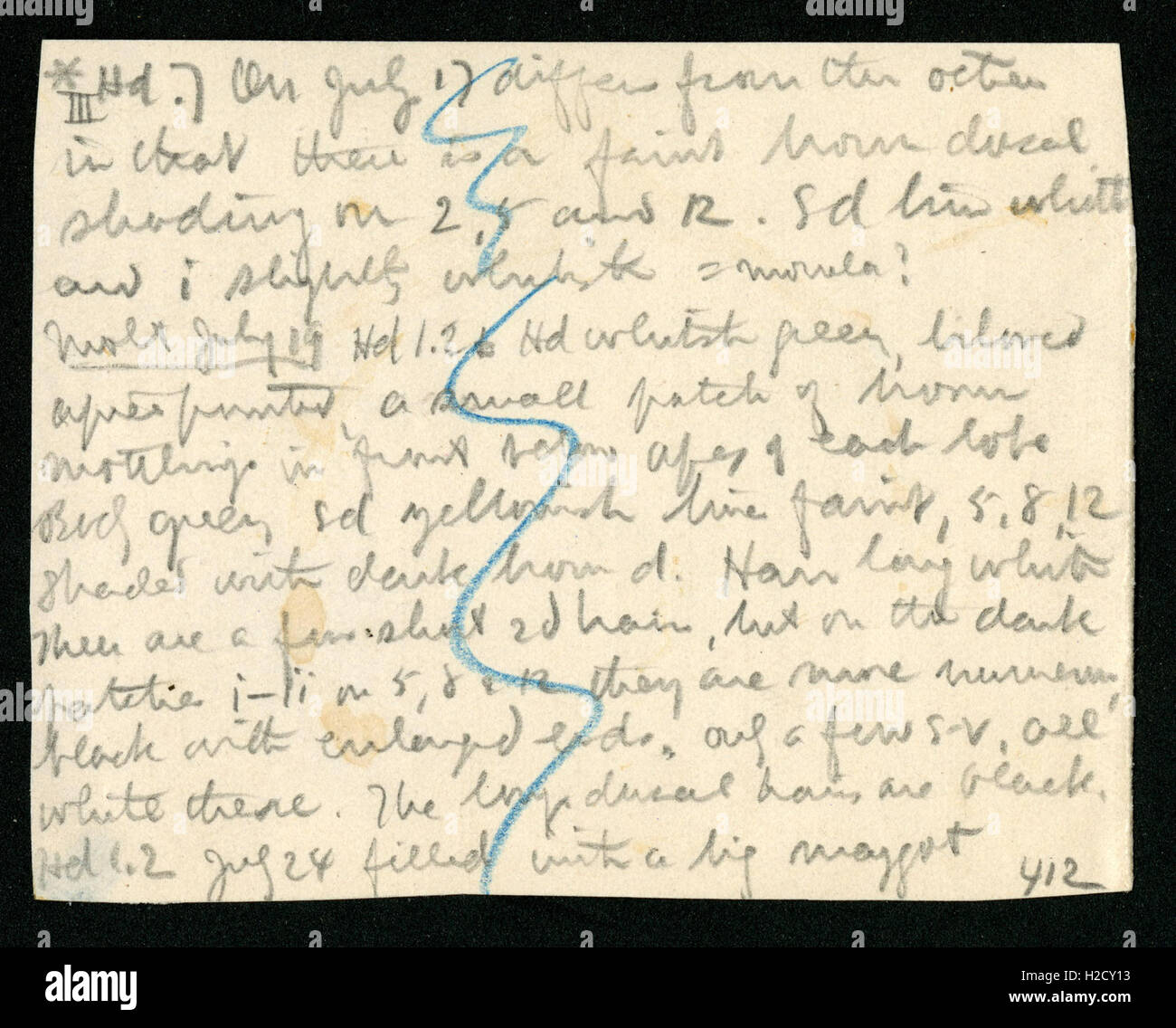 A set of detailed records from H.G. Dyar's bluebook, pages 401 to 414 ...