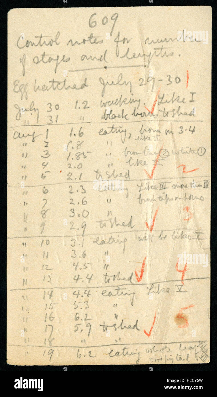 A detailed collection of entomological observations and identification ...