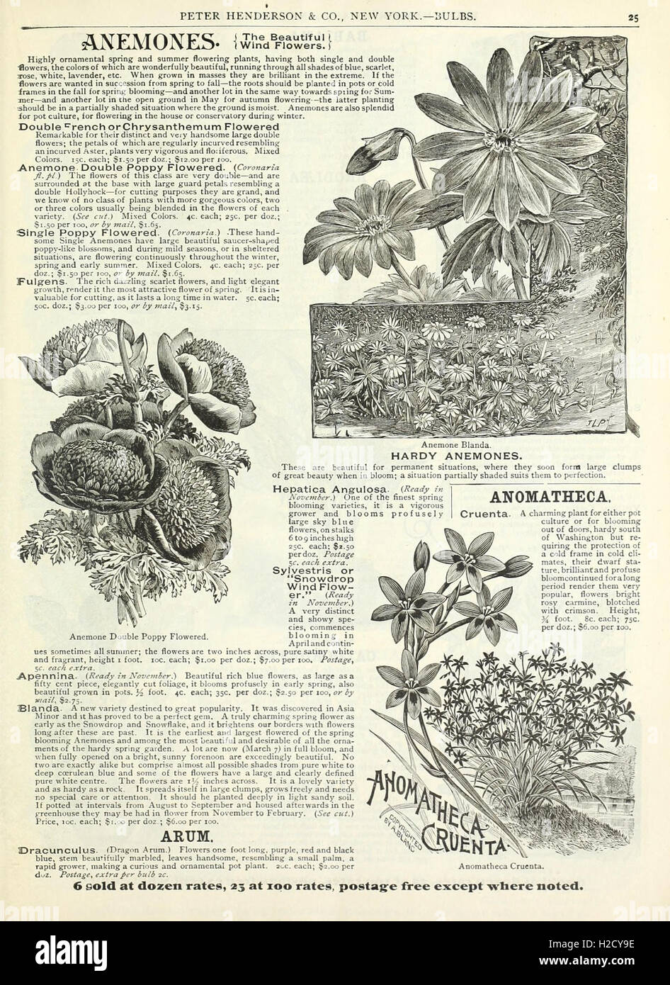 This entry from 1892 provides a snapshot of historical events ...
