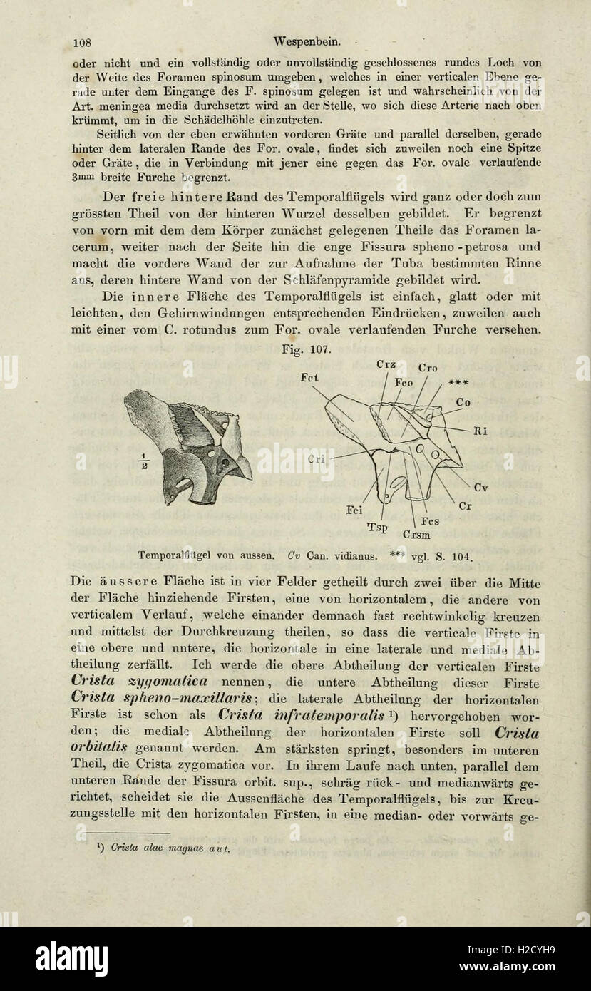 This manual provides an in-depth guide to the systematic anatomy of the ...