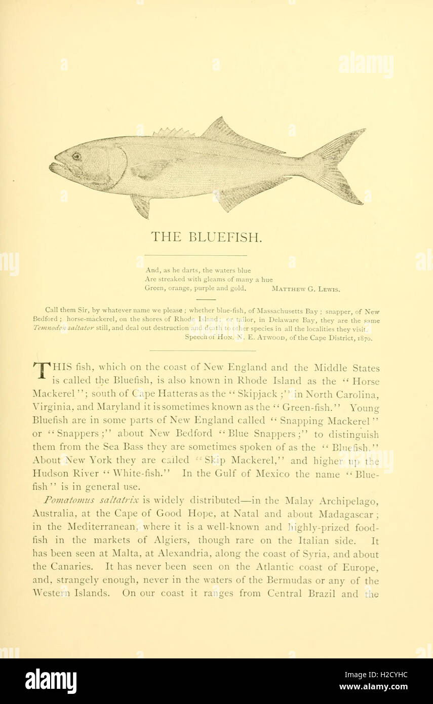 This work provides a comprehensive overview of American fish species ...