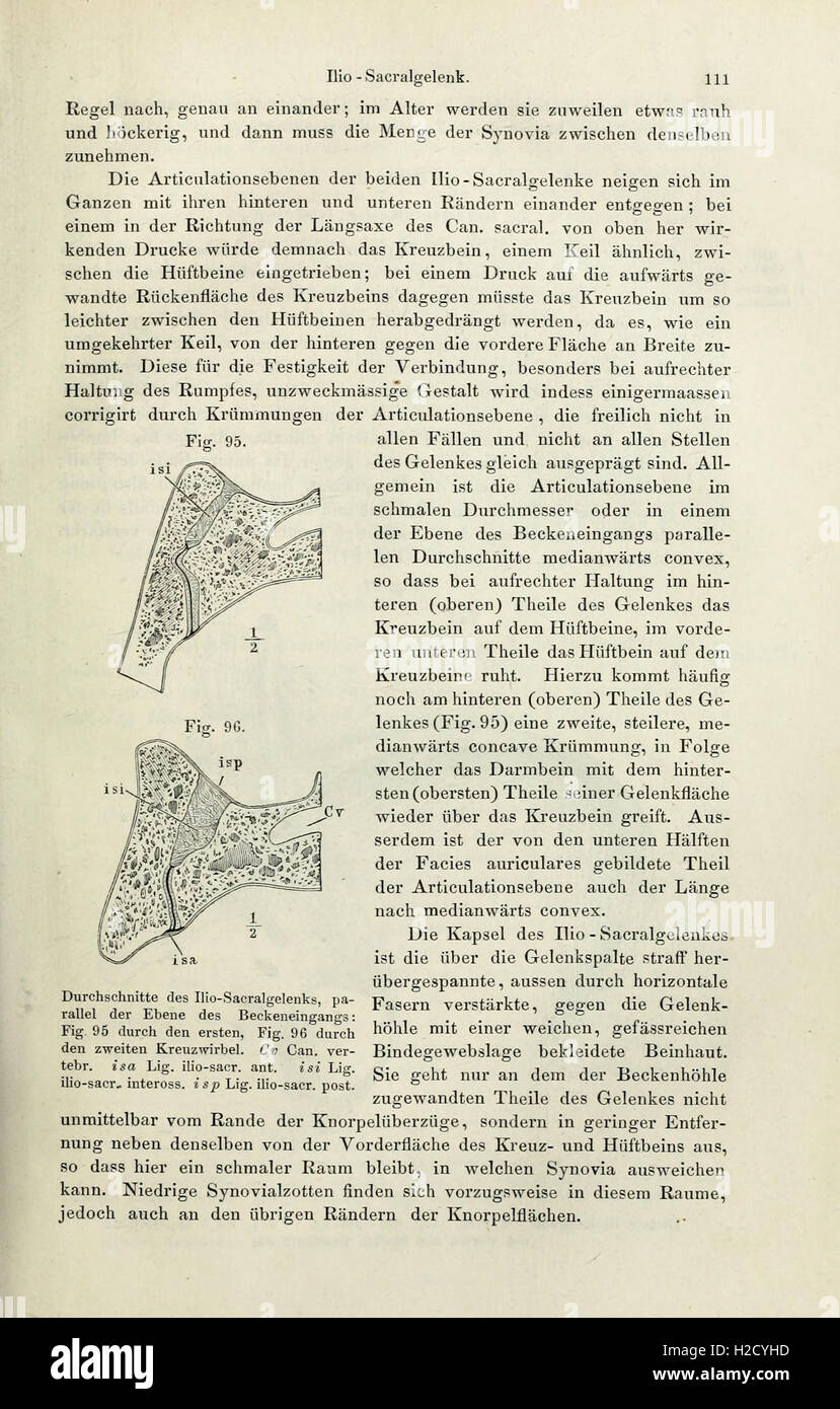 This manual covers the systematic study of human anatomy, providing ...