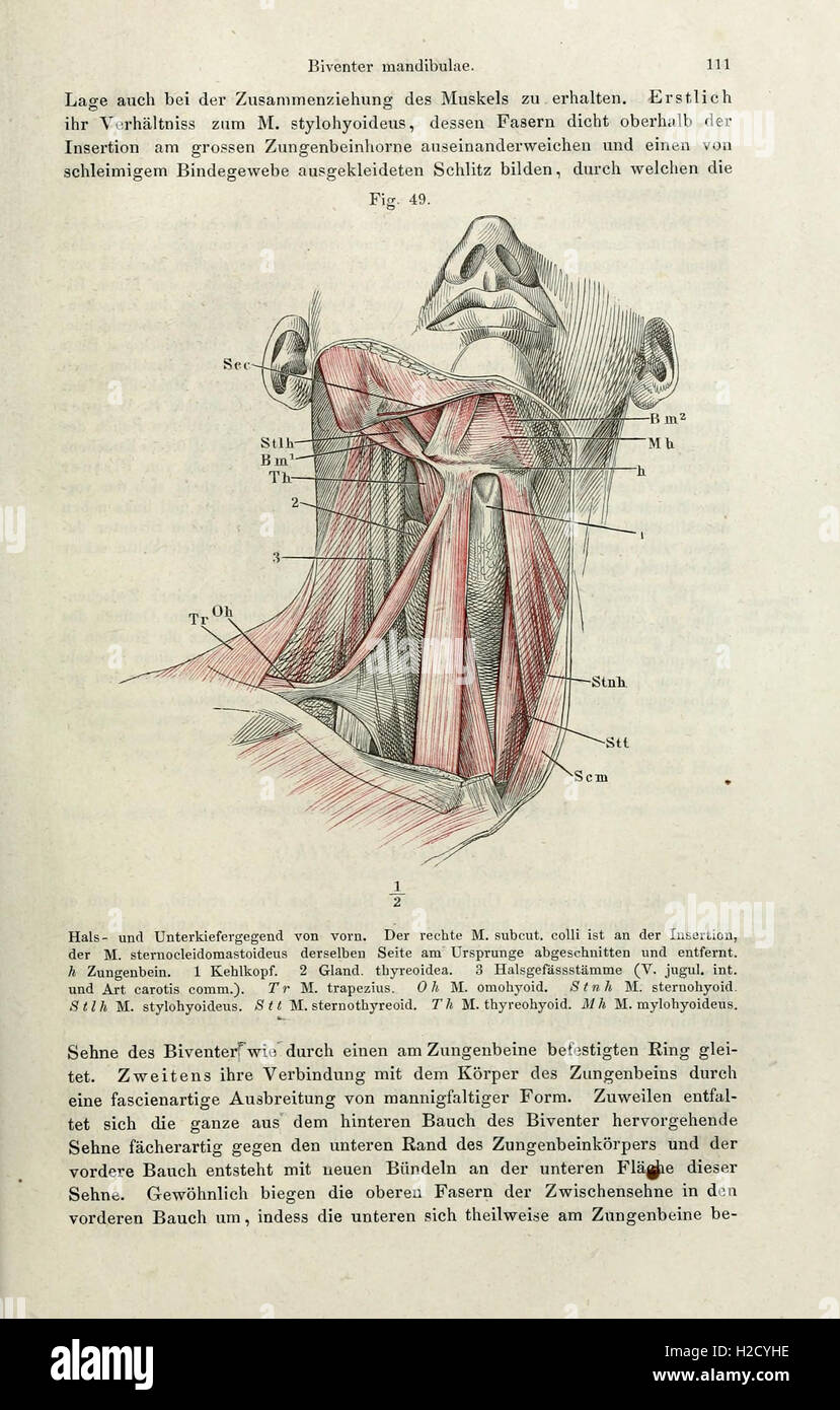 Various human body features hi-res stock photography and images - Alamy