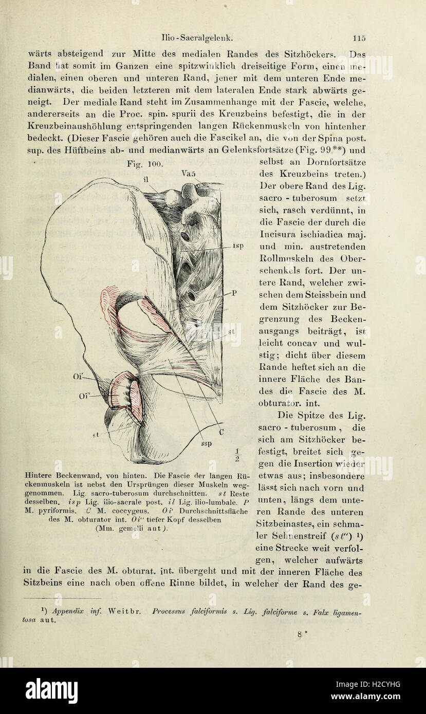 This manual provides a systematic approach to human anatomy, detailing ...