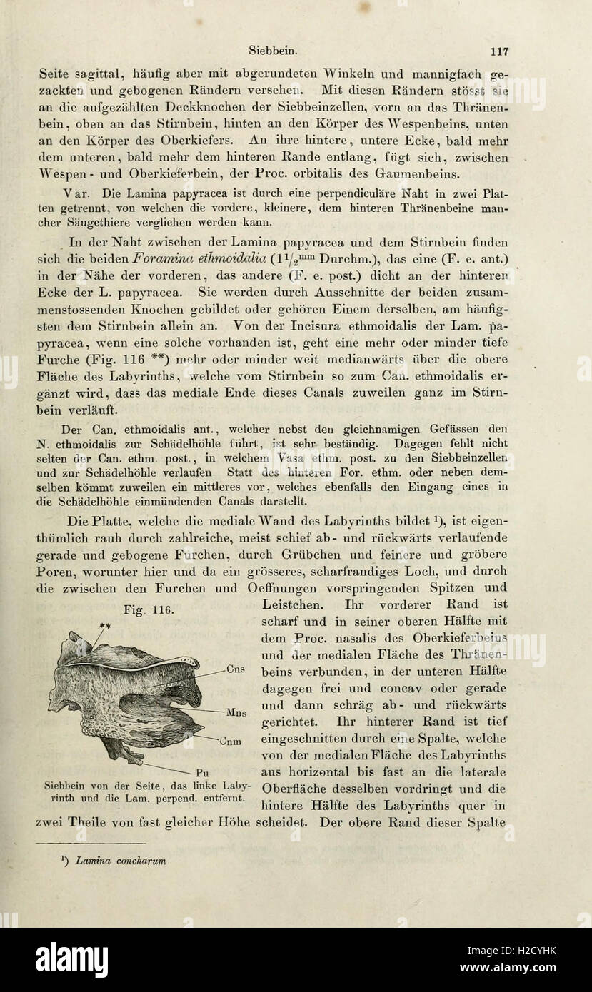 This manual on human anatomy provides a detailed, systematic study of ...