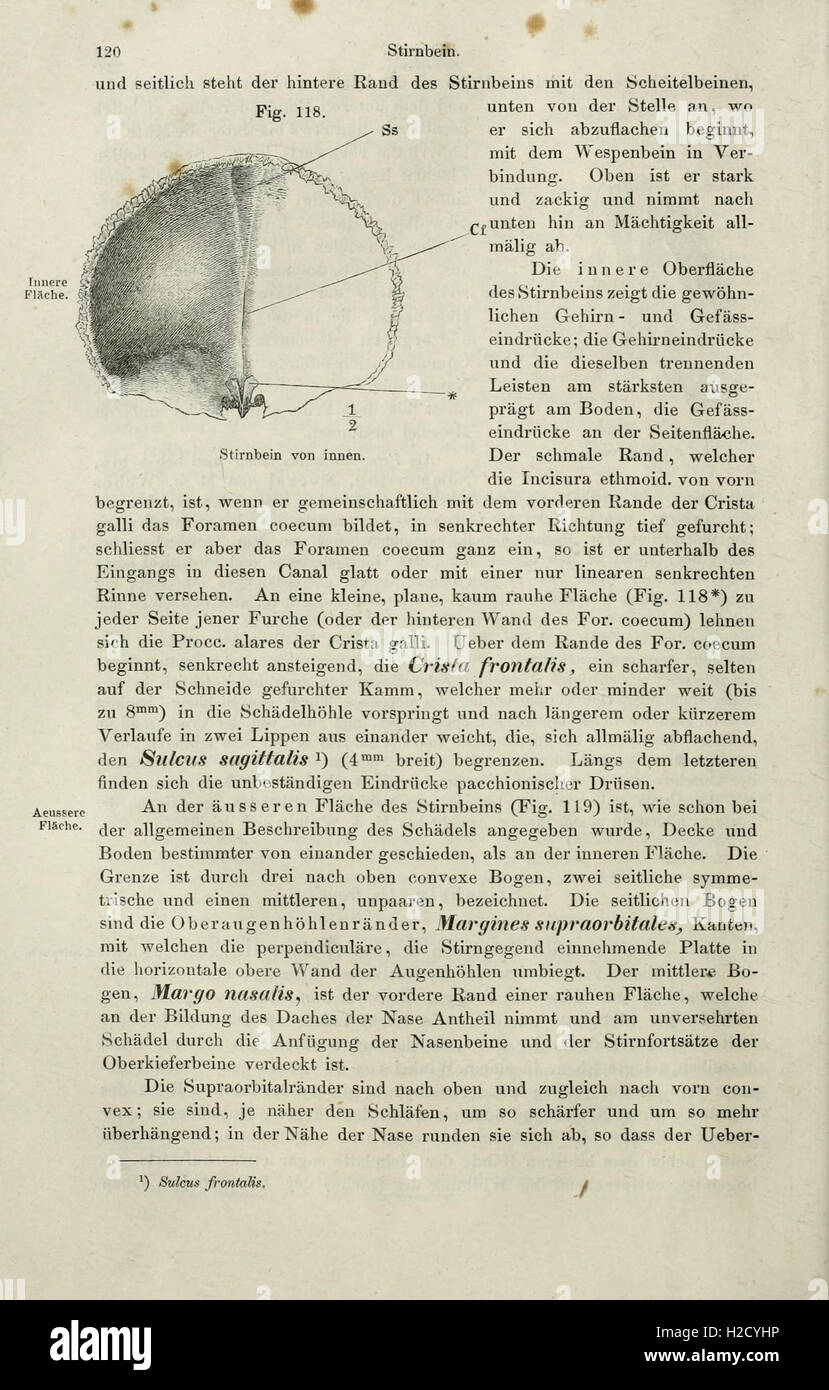This manual on human anatomy provides systematic descriptions of human ...