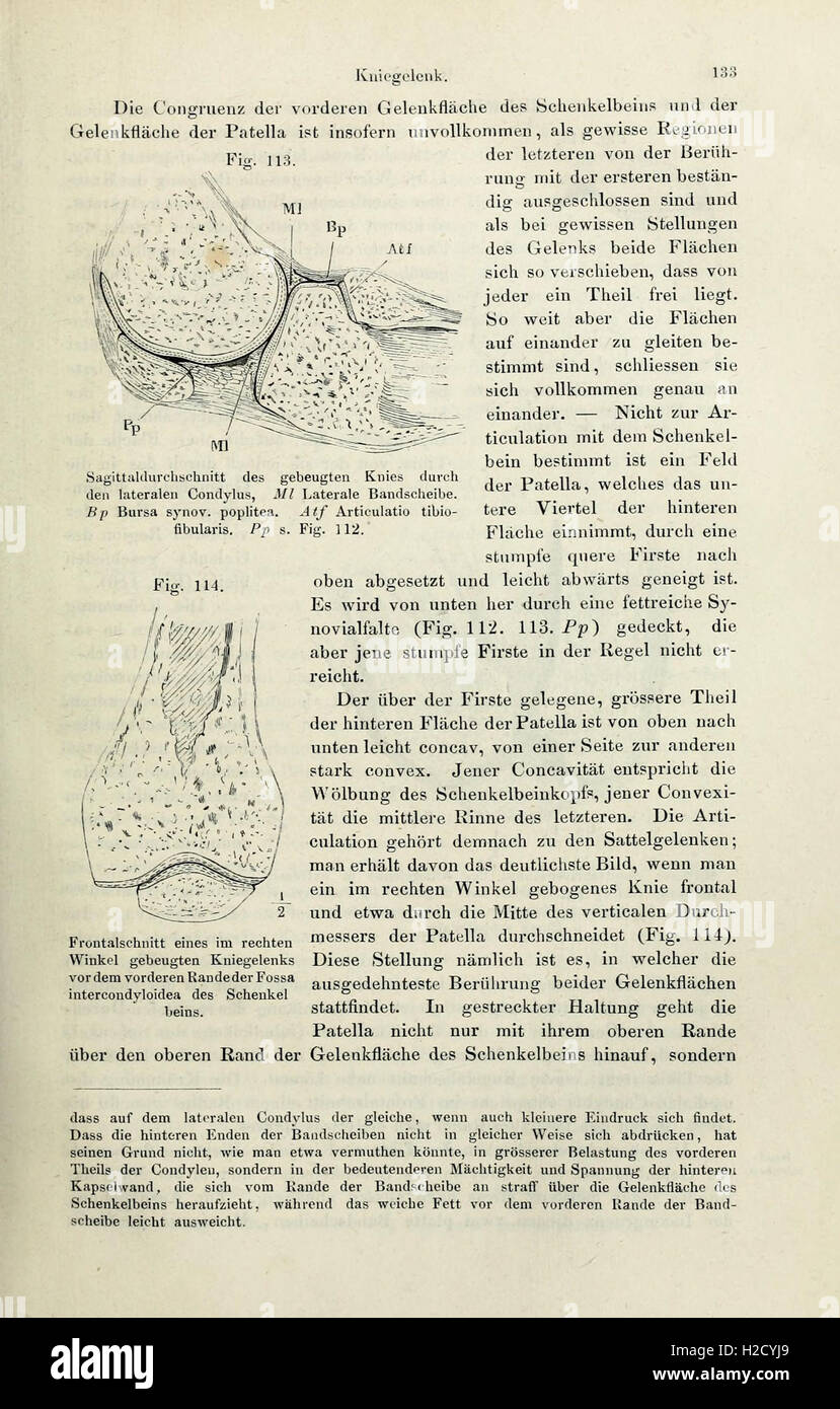 This manual of human anatomy provides detailed descriptions of the ...