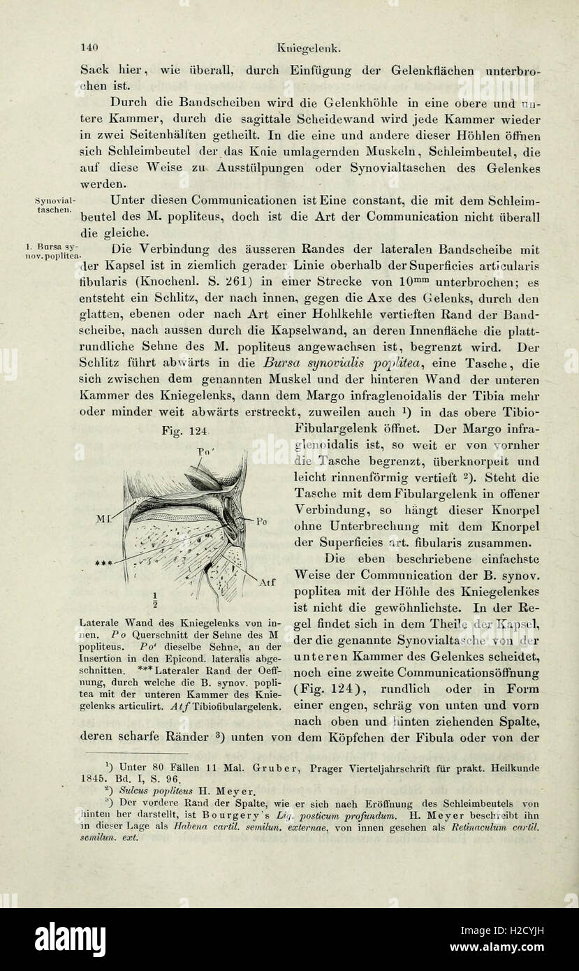 A guide to human systematic anatomy, focusing on detailed anatomical ...