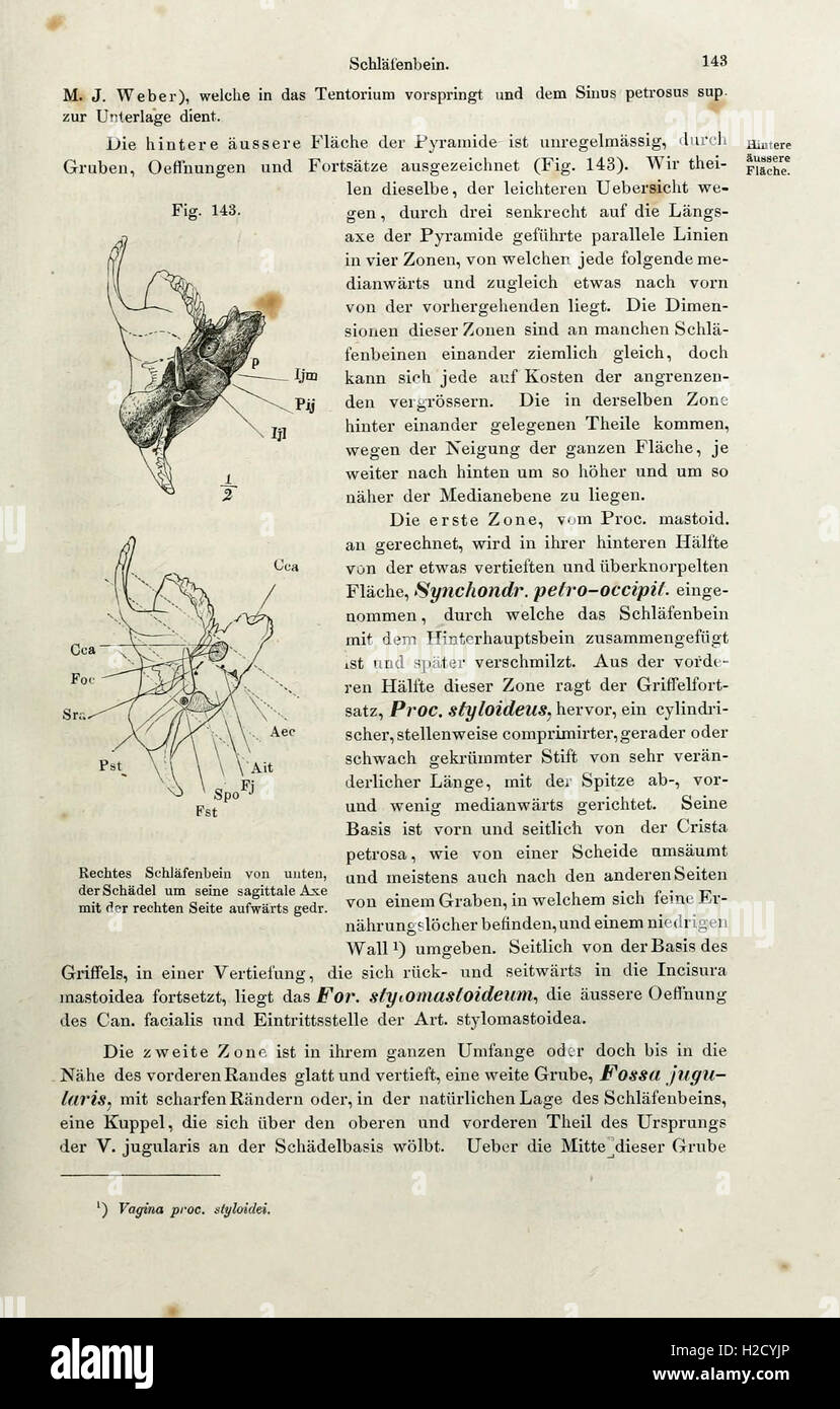 This work is a systematic guide to human anatomy, offering detailed ...