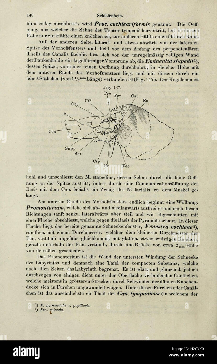 A reference book on the systematic anatomy of humans, providing ...