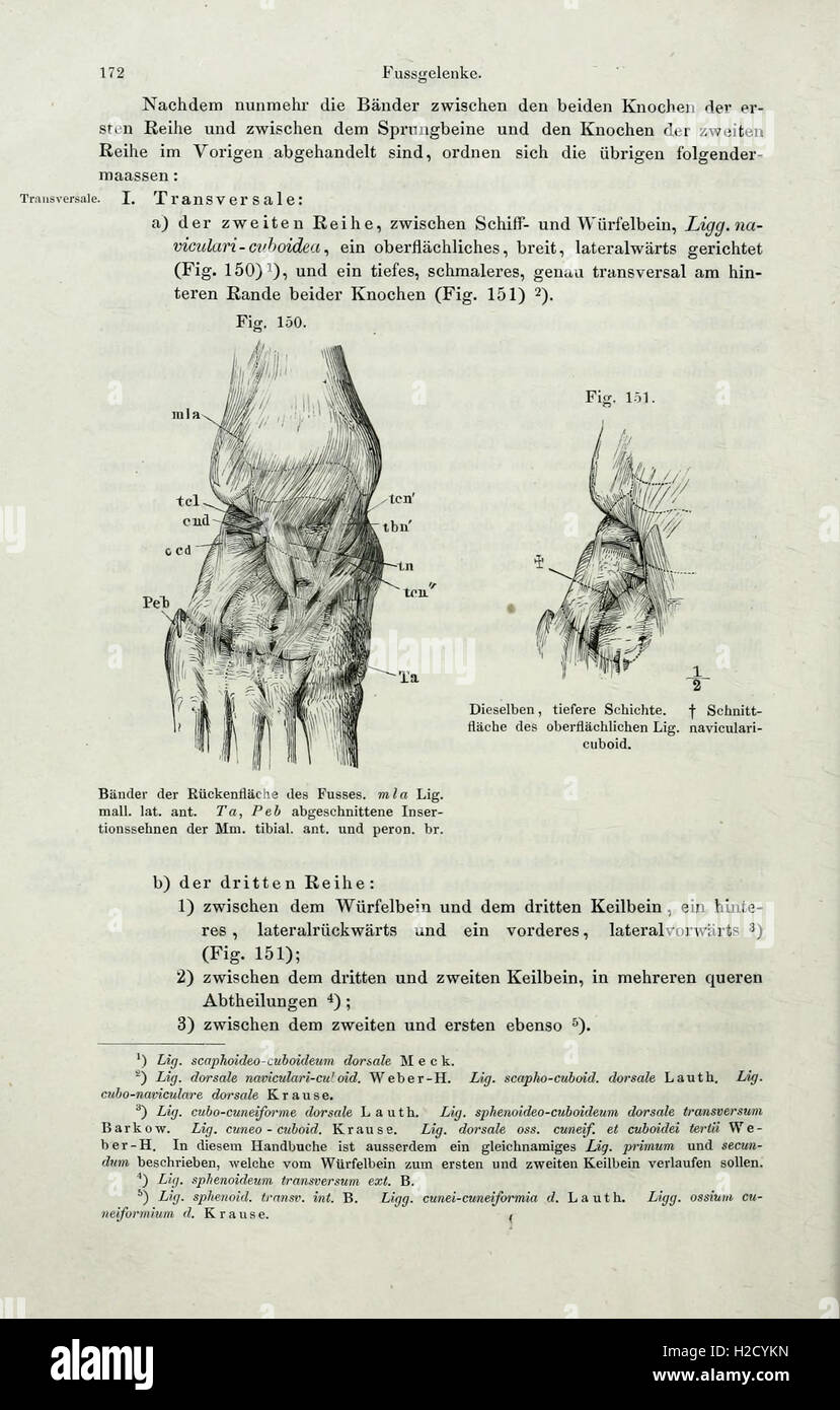 Detailed guide on human hi-res stock photography and images - Alamy