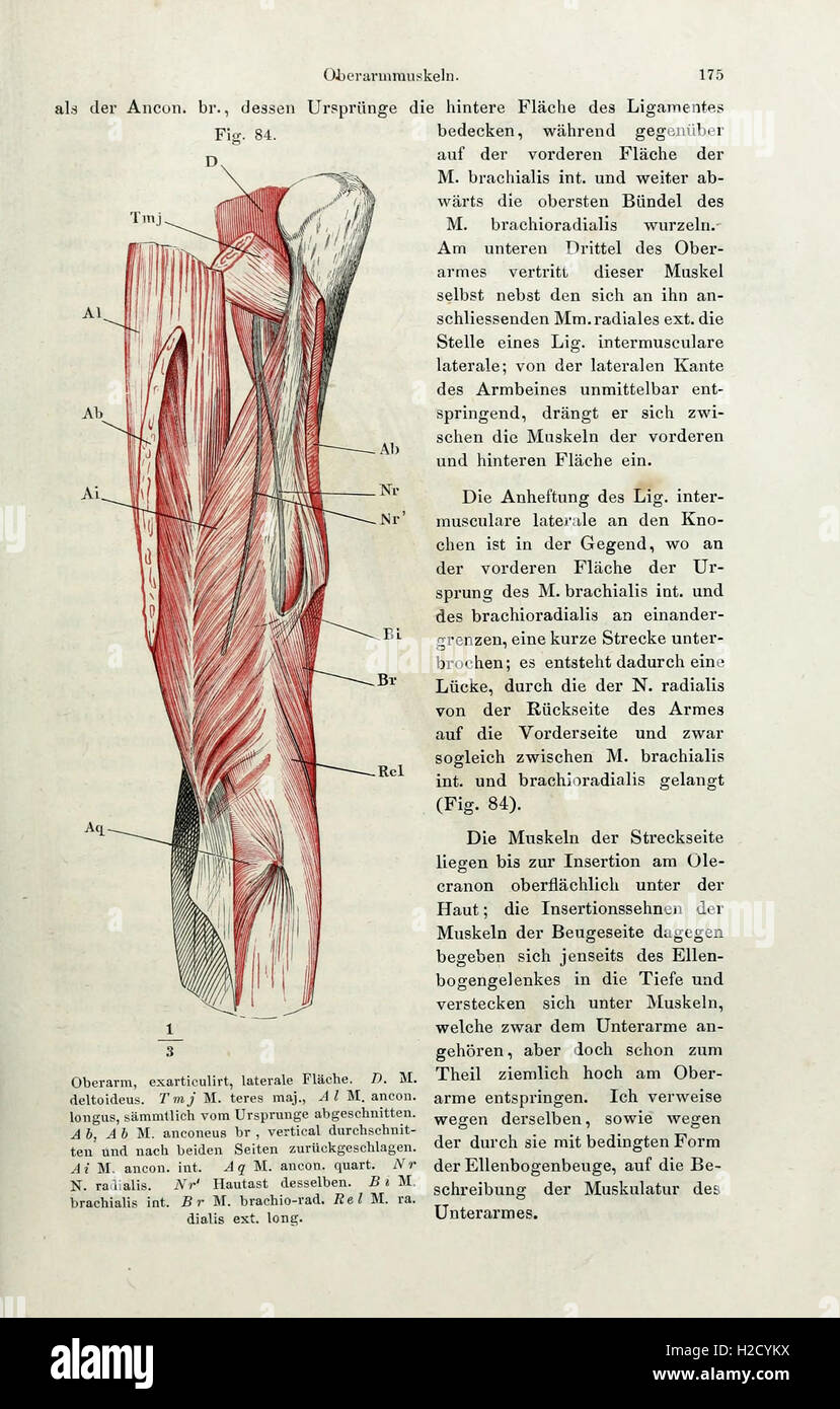 This handbook provides a systematic overview of human anatomy ...