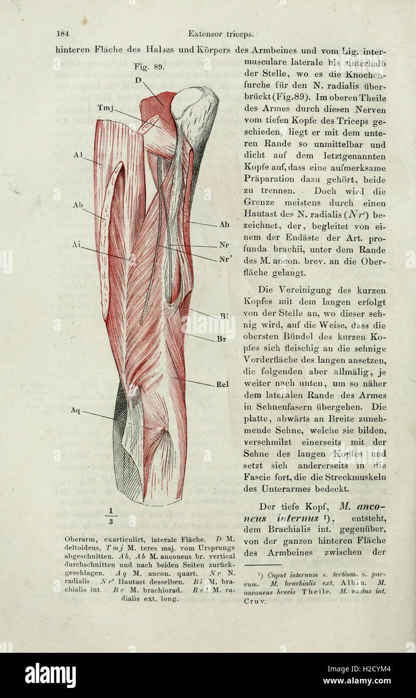 This text is a detailed guide to human anatomy, providing systematic ...