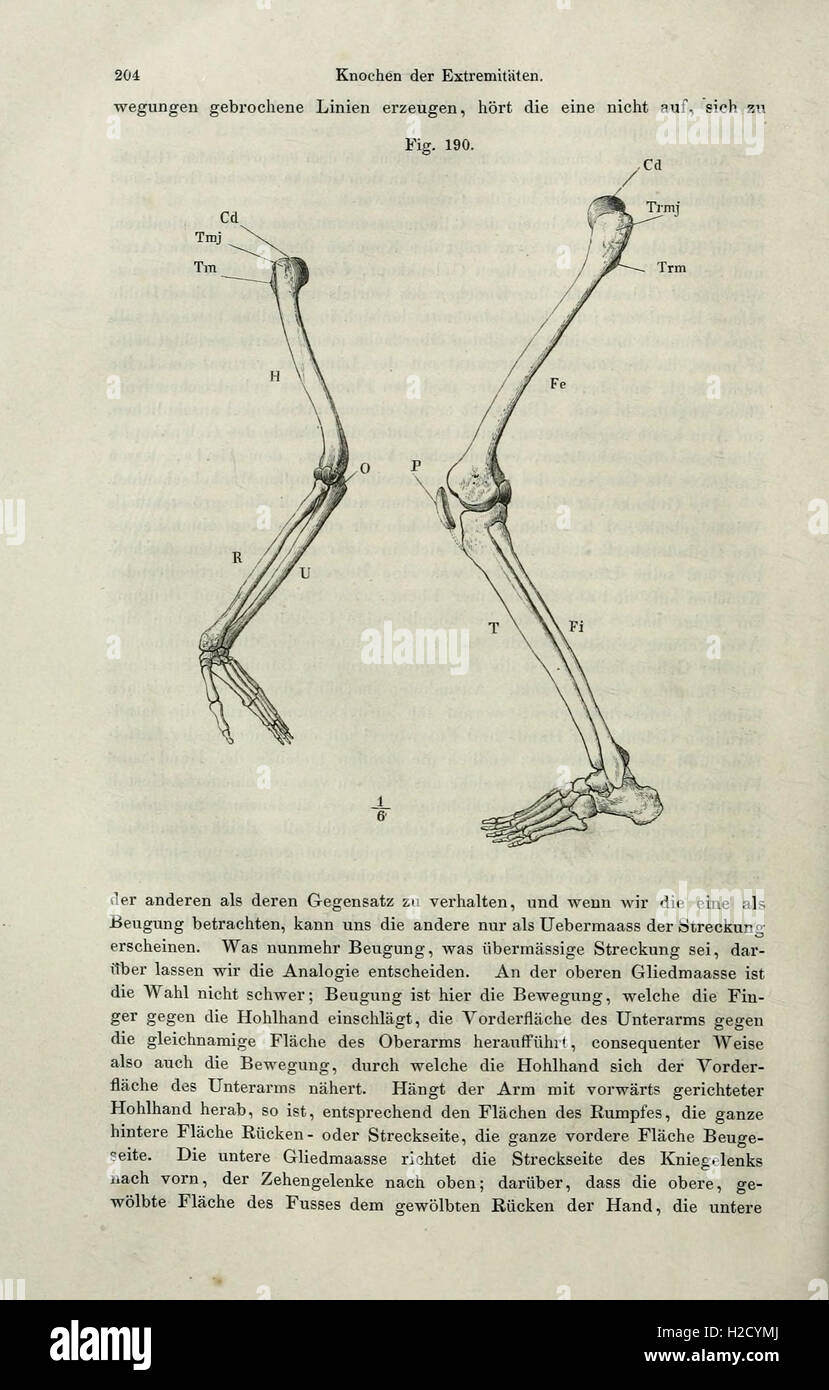 This work on human anatomy systematically explores the structure and ...