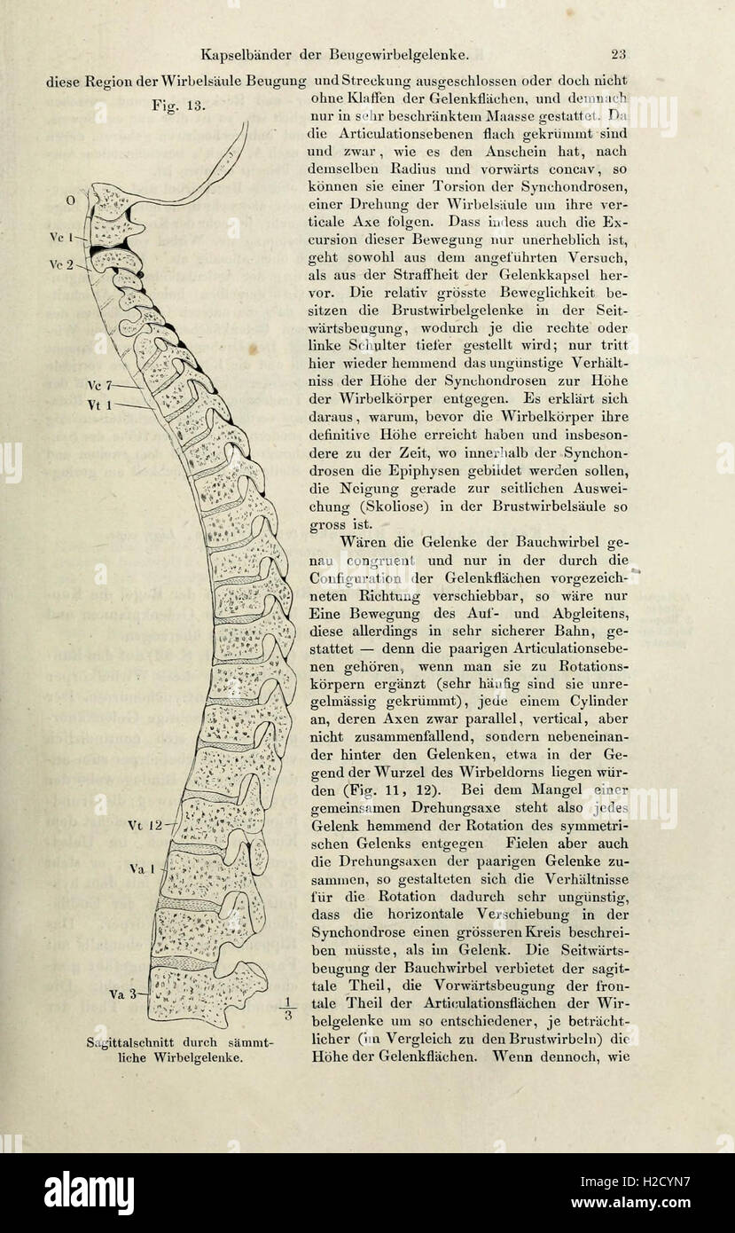 This handbook provides a comprehensive guide to human anatomy, focusing ...