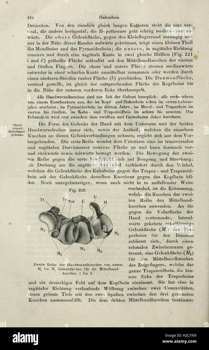 This work provides an in-depth exploration of human anatomy, focusing ...