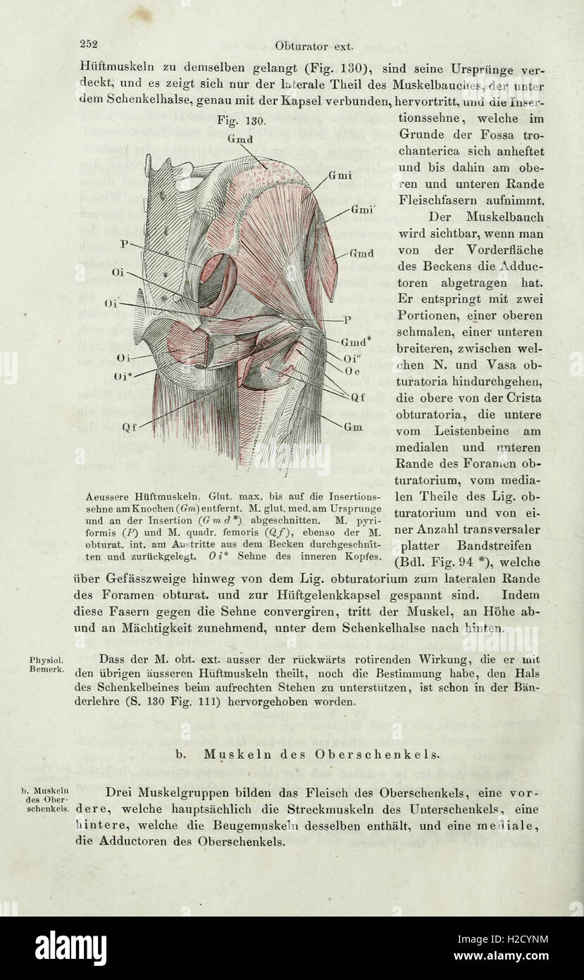 This handbook provides a comprehensive guide to the systematic anatomy ...