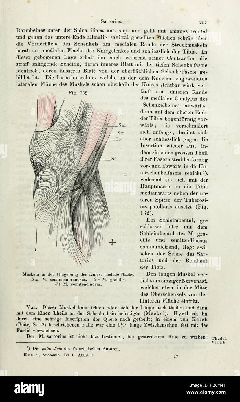 This handbook provides a systematic overview of human anatomy, focusing ...