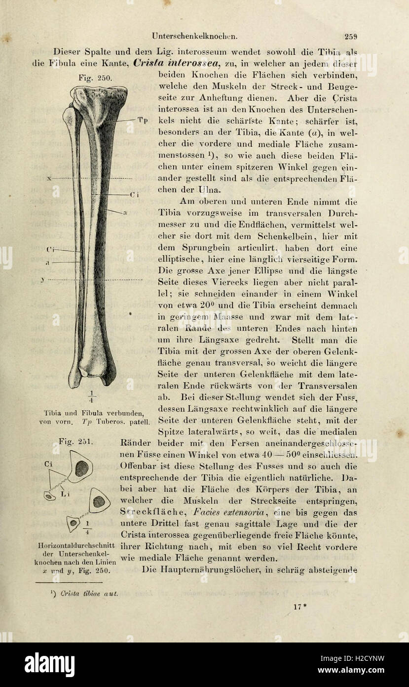 This text is a systematic guide to human anatomy, detailing the ...